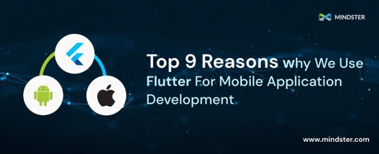 Reasons Why We Use Flutter For Mobile Application Development 0076